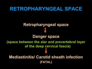 02.space infections clinical features & treatment | PPT
