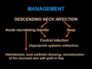 02.space infections clinical features & treatment | PPT