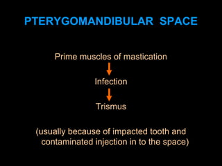 02.space infections clinical features & treatment | PPT