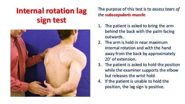 02 Shoulder Examination