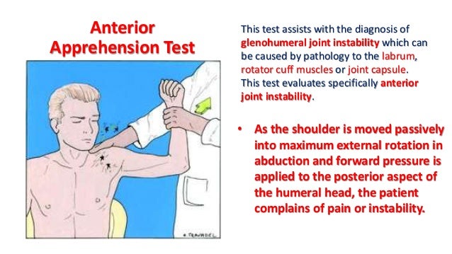 02. shoulder examination