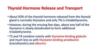 02. thyroid physiology | PPTX