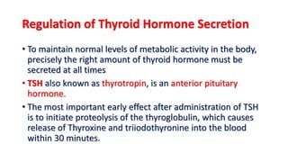 02. thyroid physiology | PPTX
