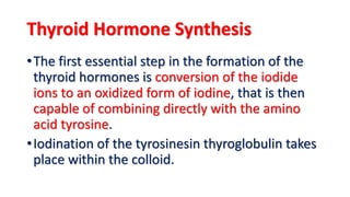 02. thyroid physiology | PPTX