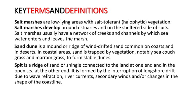 CAMBRIDGE GEOGRAPHY A2 REVISION - COASTAL ENVIRONMENTS: 8.2 COASTAL ...