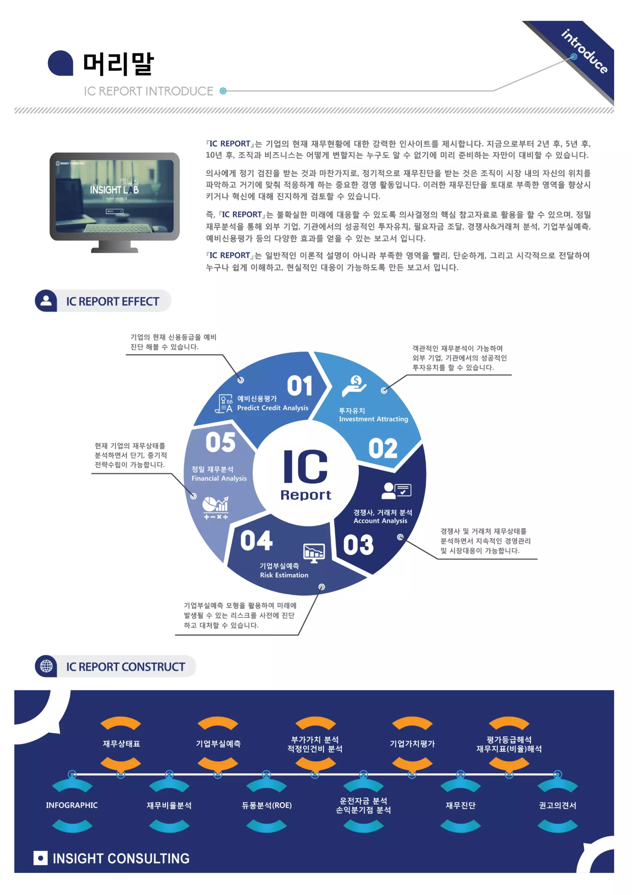 [기타] IC REPORT(권고의견서 sample) | PDF