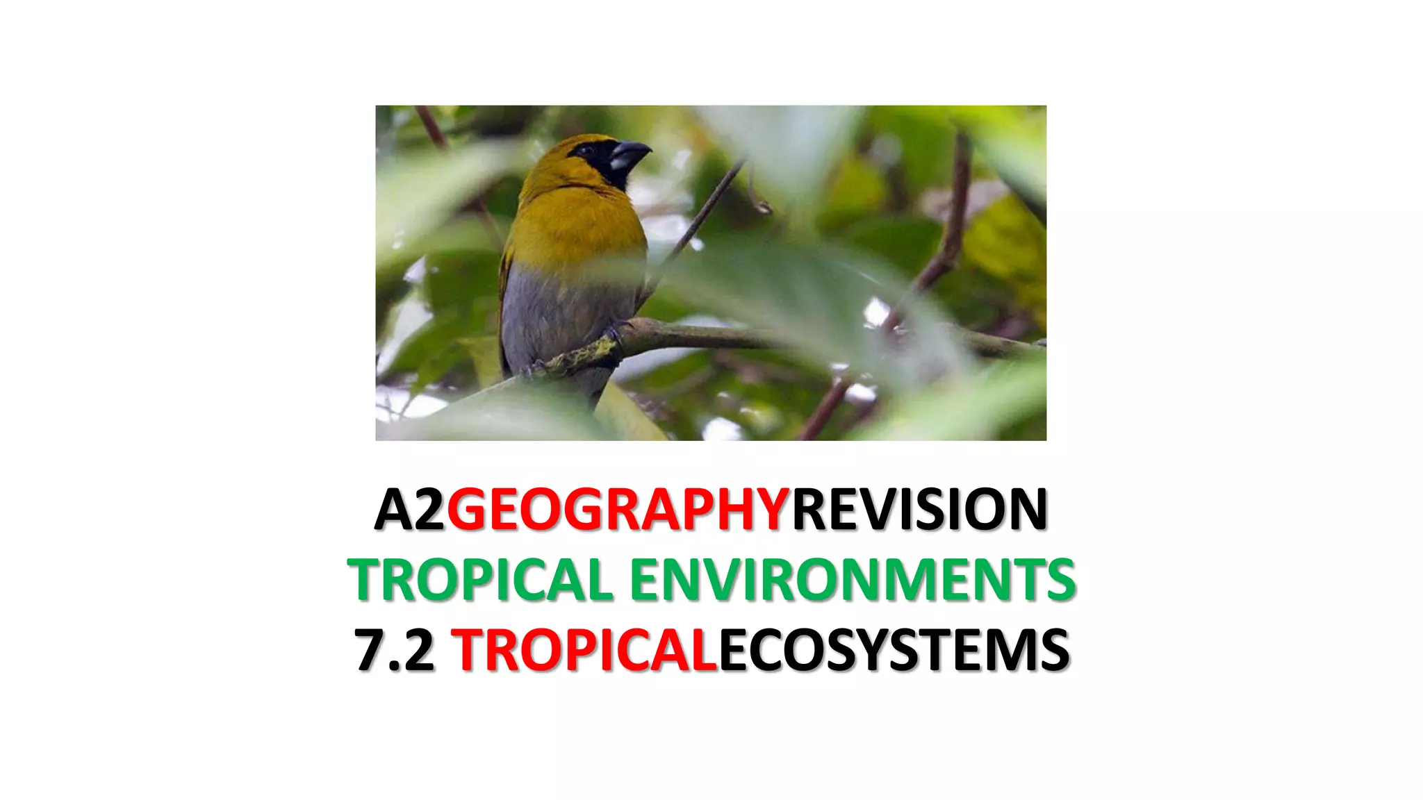 CAMBRIDGE GEOGRAPHY A2 REVISION - TROPICAL ENVIRONMENTS: TROPICAL ...