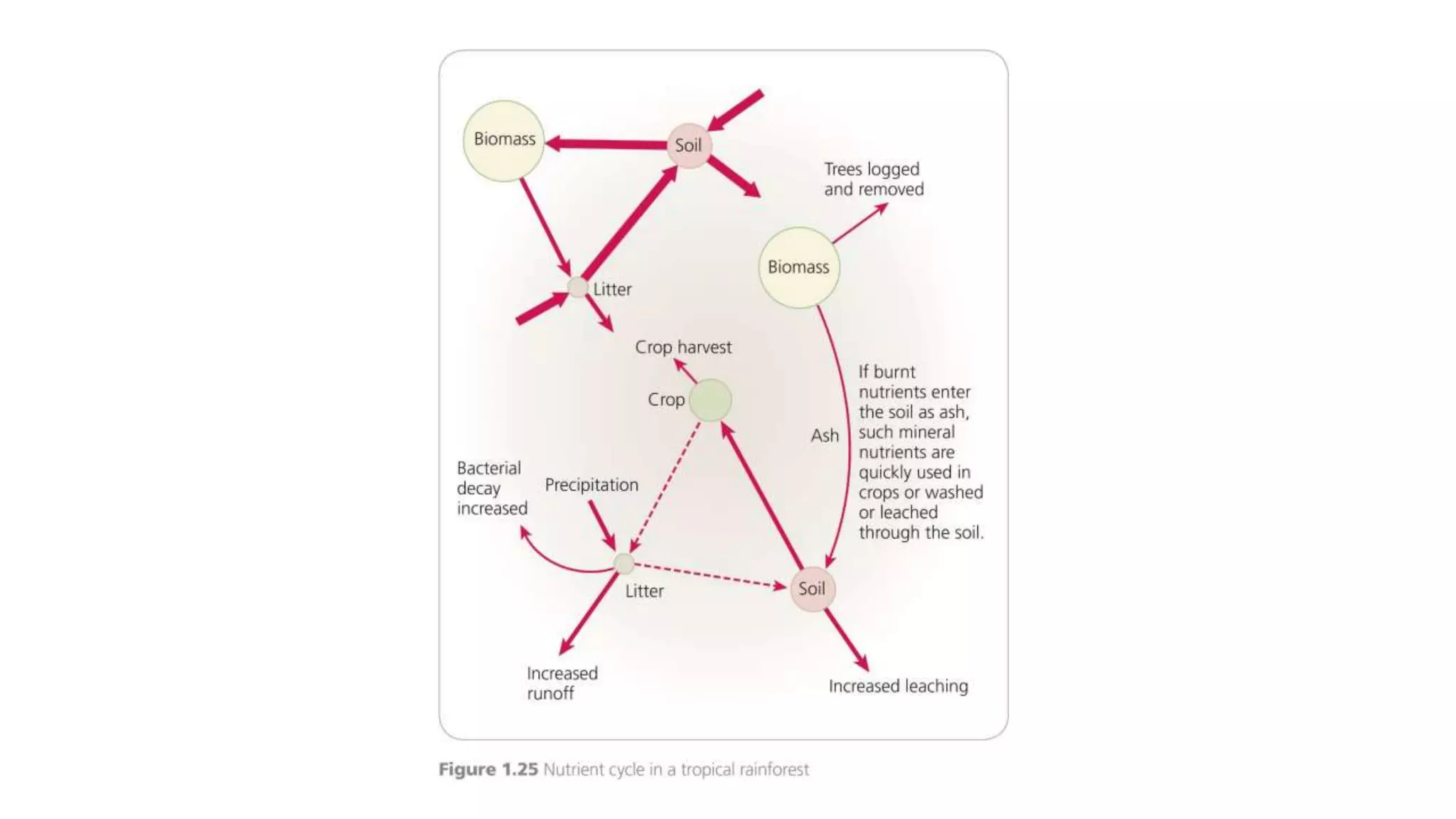 CAMBRIDGE GEOGRAPHY A2 REVISION - TROPICAL ENVIRONMENTS: TROPICAL ...