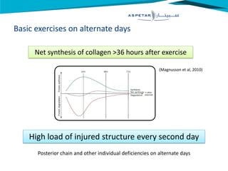 Andreas Serner - Rectus Femoris Injuries Experiencies (Aspetar) | PDF