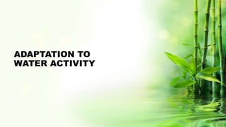 SUSTAINABILITY: WATER CONSERVATION AND ADAPTATION | PPTX