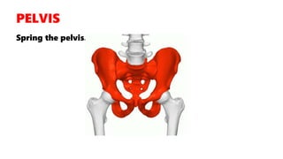 FIRST AID: DIAGNOSTIC | PPTX