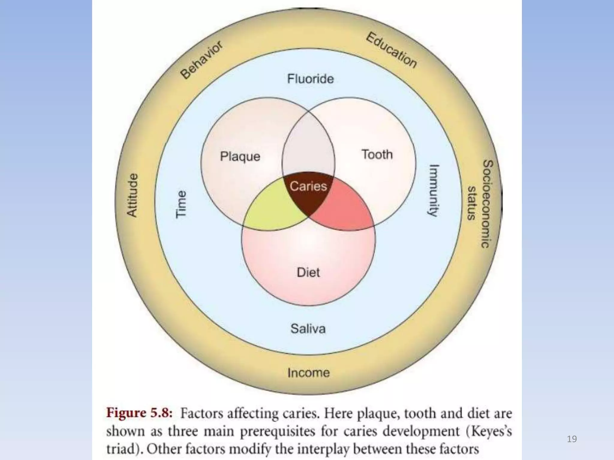 02.dental caries | PPTX