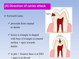 02.dental caries | PPT