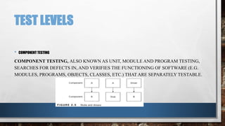 02. testing throughout the software life cycle | PPTX | Operating ...