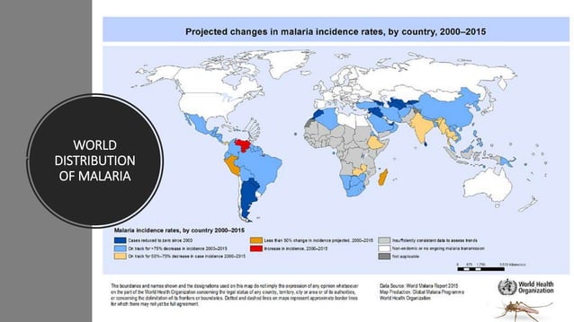 GEOGRAPHY NCEA LEVEL 2: MALARIA - SPATIAL PATTERNS | PPT