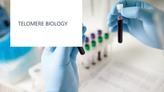 Telomere Analysis in the areas of Inflammation, Arthritis and Exercise | PPT