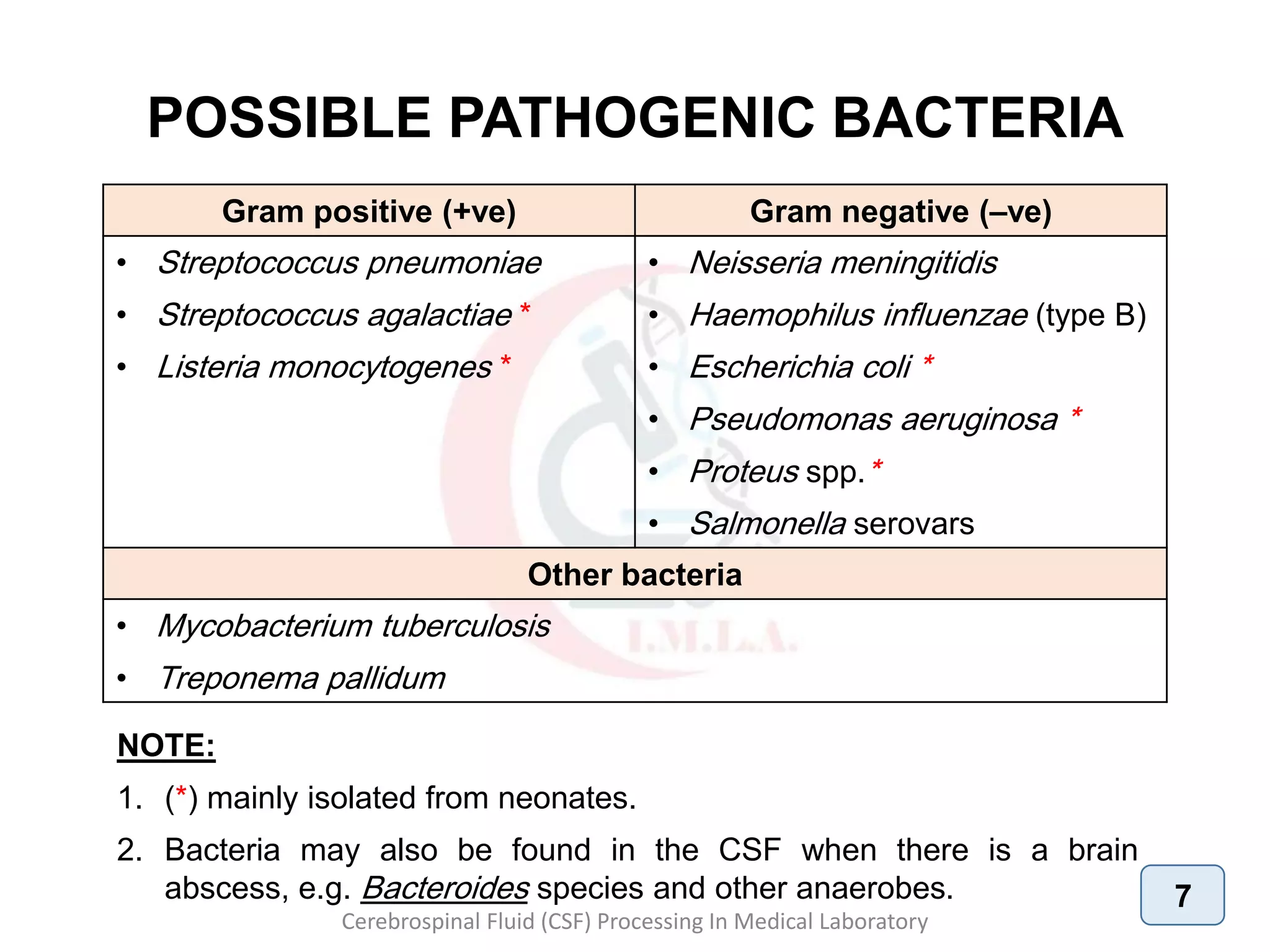 CSF MICROBIOLOGICAL EXAMINATION – I | PDF