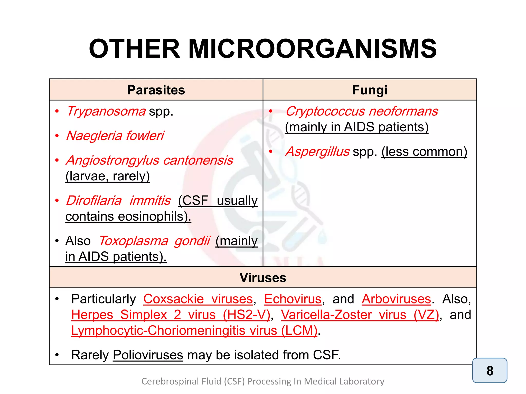 Csf Microbiological Examination I Pdf