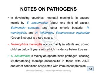 CSF MICROBIOLOGICAL EXAMINATION – I | PDF