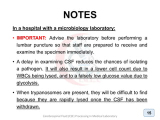 CSF MICROBIOLOGICAL EXAMINATION – I | PDF