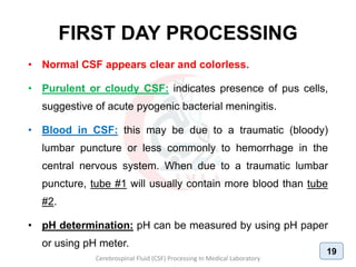 CSF MICROBIOLOGICAL EXAMINATION – I | PDF