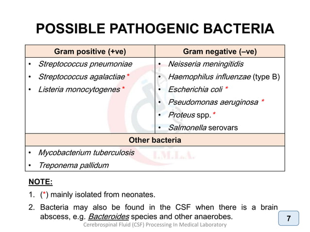 CSF MICROBIOLOGICAL EXAMINATION – I | PDF