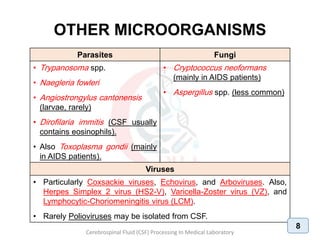 CSF MICROBIOLOGICAL EXAMINATION – I | PDF