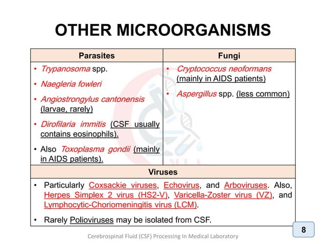 CSF MICROBIOLOGICAL EXAMINATION – I | PDF