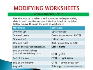 02.modifying worksheet | PPTX