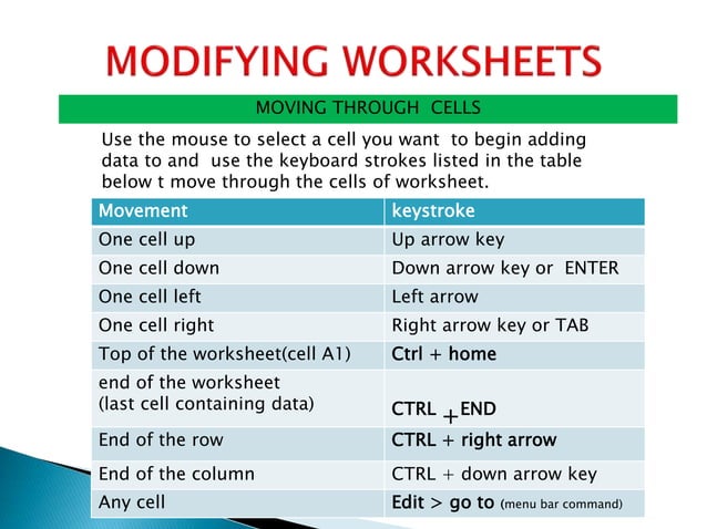02.modifying worksheet | PPTX
