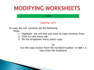 02.modifying worksheet | PPTX