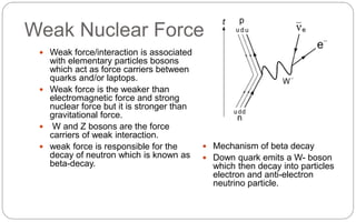 Nuclear Structure | PPTX