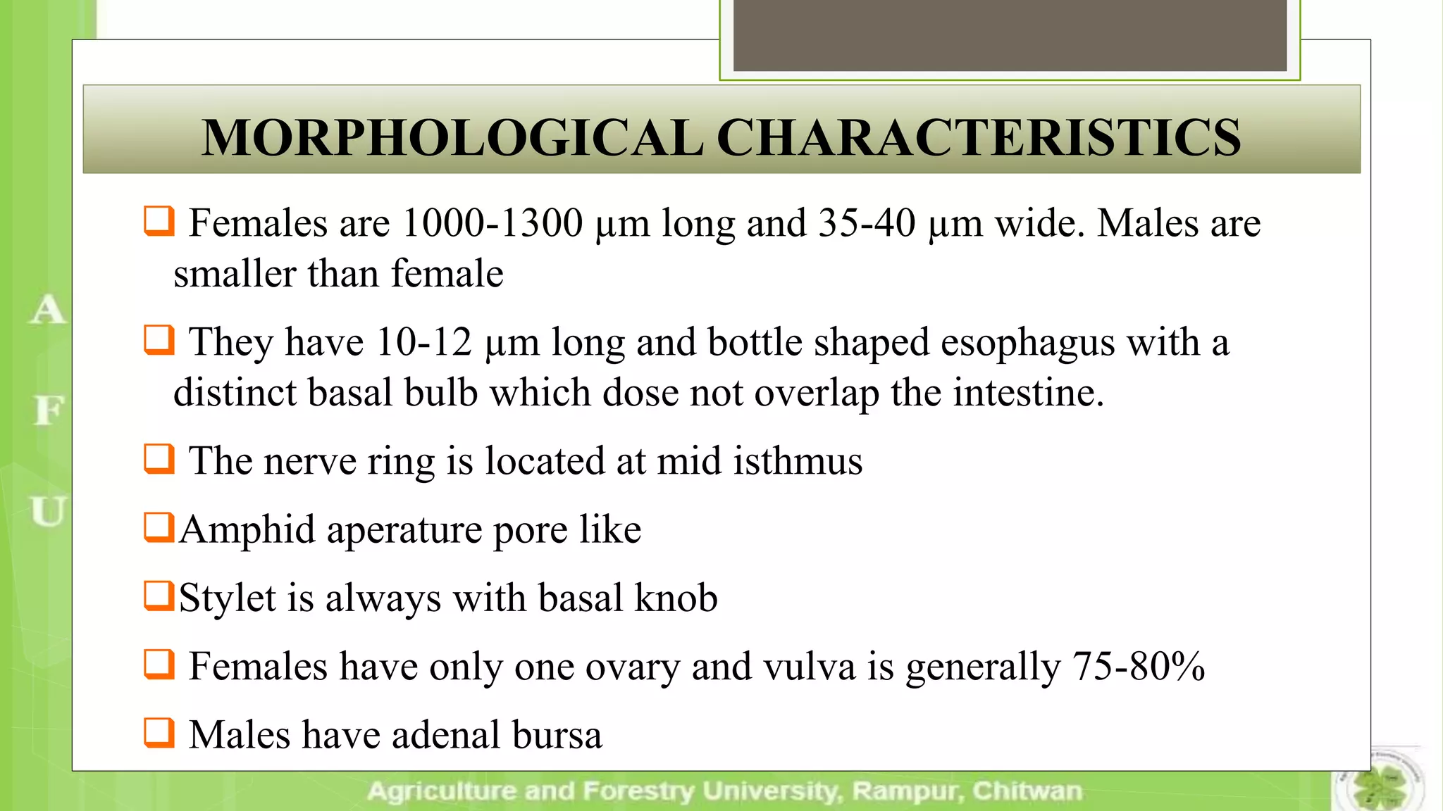 Classification, Characterization and identification of Ditylenchus ...