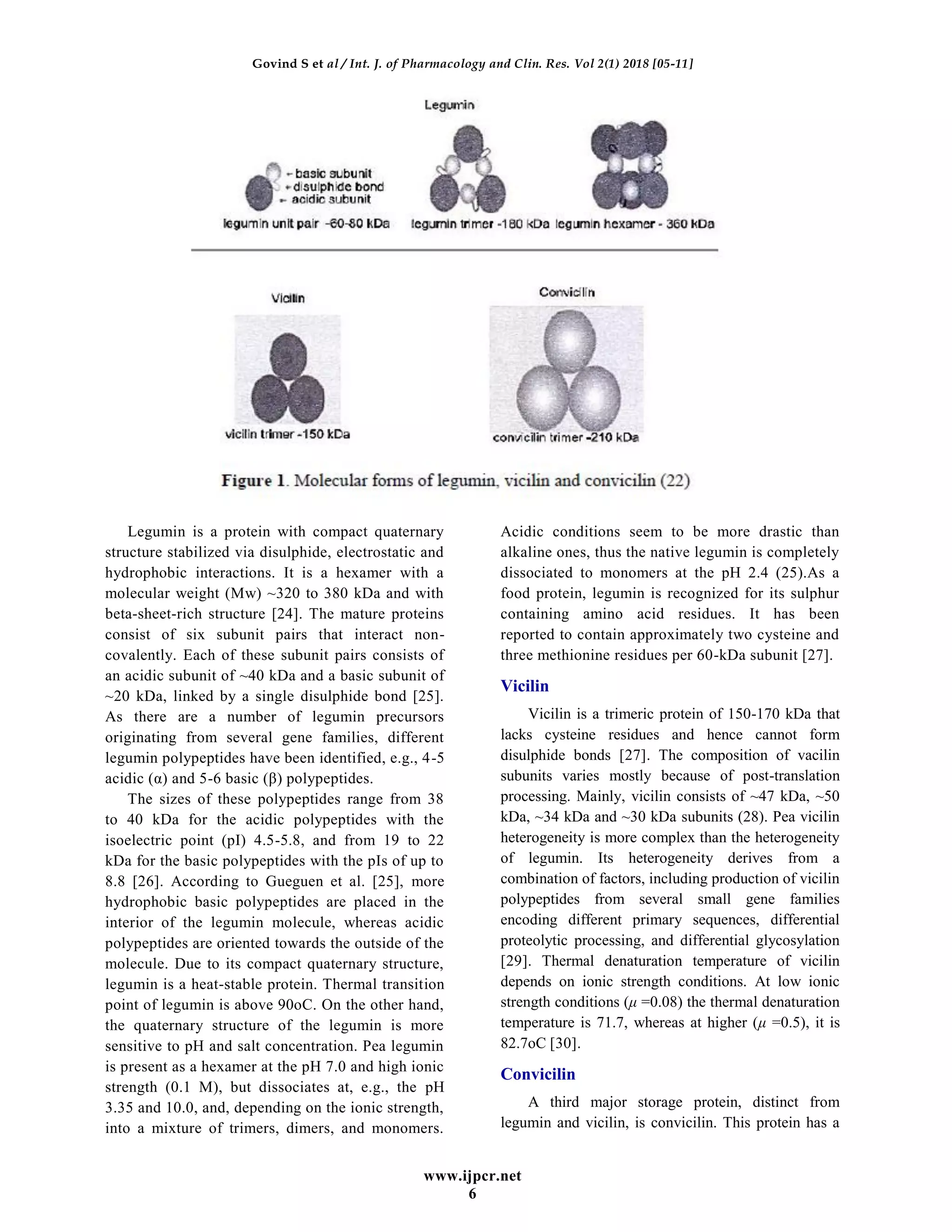 Vegelite Protein powder – A blend of Rice and Pea protein designed to ...