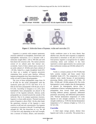 Vegelite Protein powder – A blend of Rice and Pea protein designed to ...