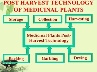 BIO-DYNAMIC AGRICULTURE | PPT