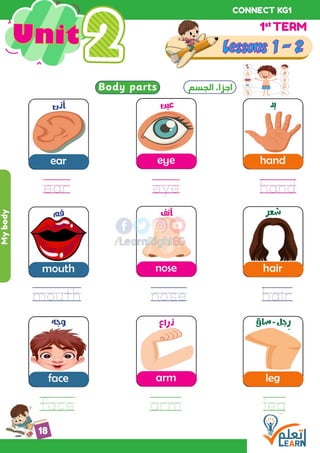 Connect KG1: Unit 2 - My body | PDF