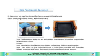MPI 5 penanganan, pengepakan dan pengiriman spesimen | PPT