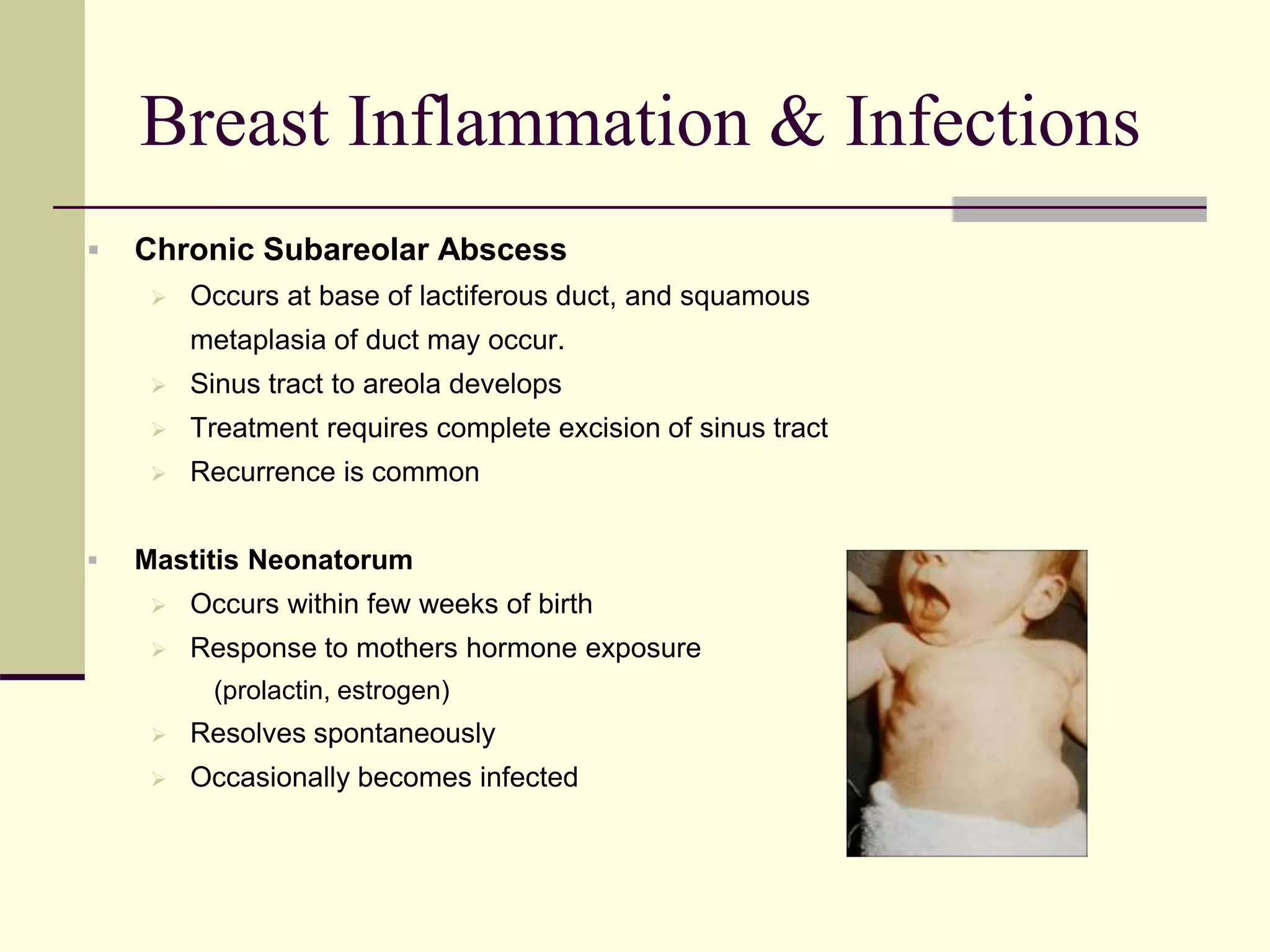 02. benign breast | PPT