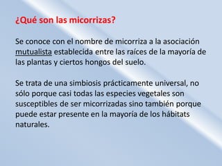 02. Simbiosis Raices 2021.pdf