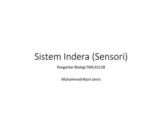 02. Sistem Indera.pptx