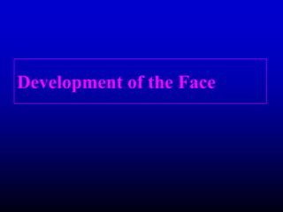 02. Development of Face.ppt