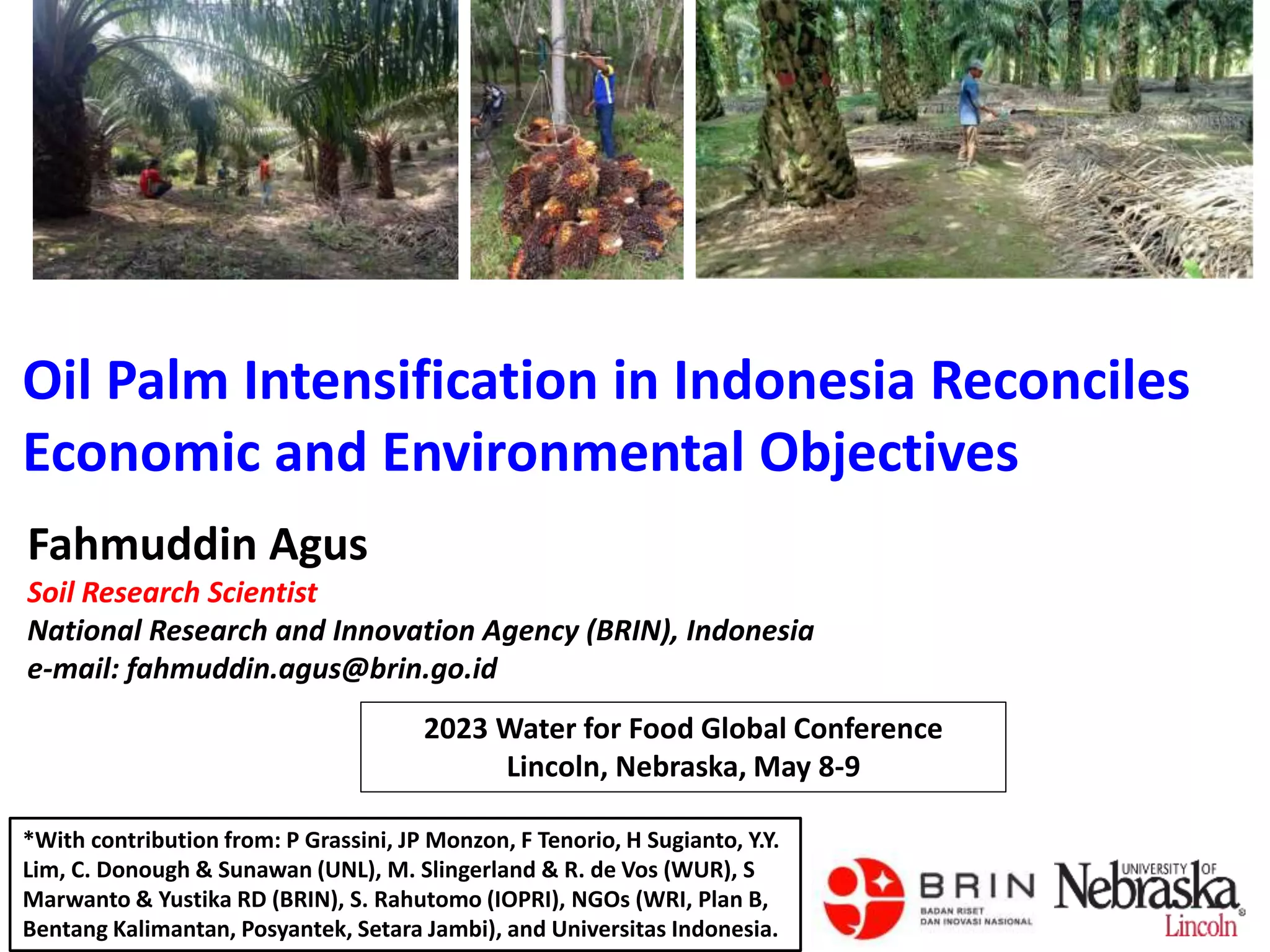 Oil Palm Intensification in indonesia Reconciles Economic and Environmental Objectives ...