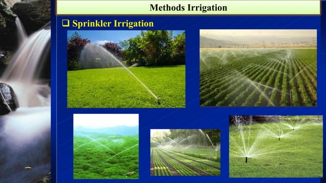 02. Methods of Irrigation.pdf | Agriculture | Industries