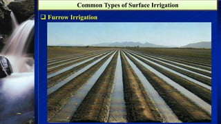 02. Methods of Irrigation.pdf