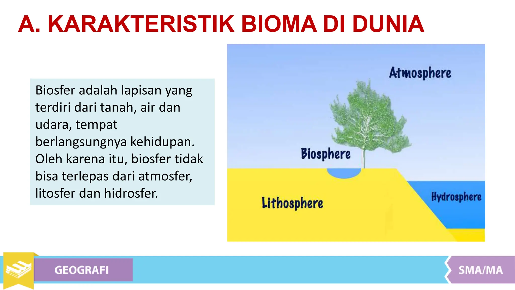 02. PPT Geografi XI -Flora dan Fauna.pptx