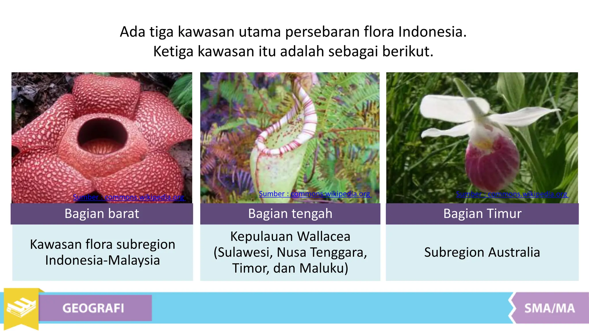 02. PPT Geografi XI -Flora dan Fauna.pptx