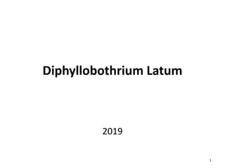 D. Latum tapeworm that can infect humans and | PDF