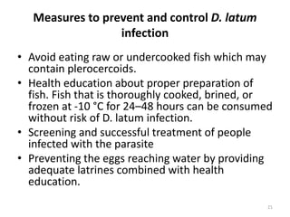 D. Latum tapeworm that can infect humans and | PDF
