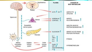 Metabolic Response To Injury and surgical stress | PPTX